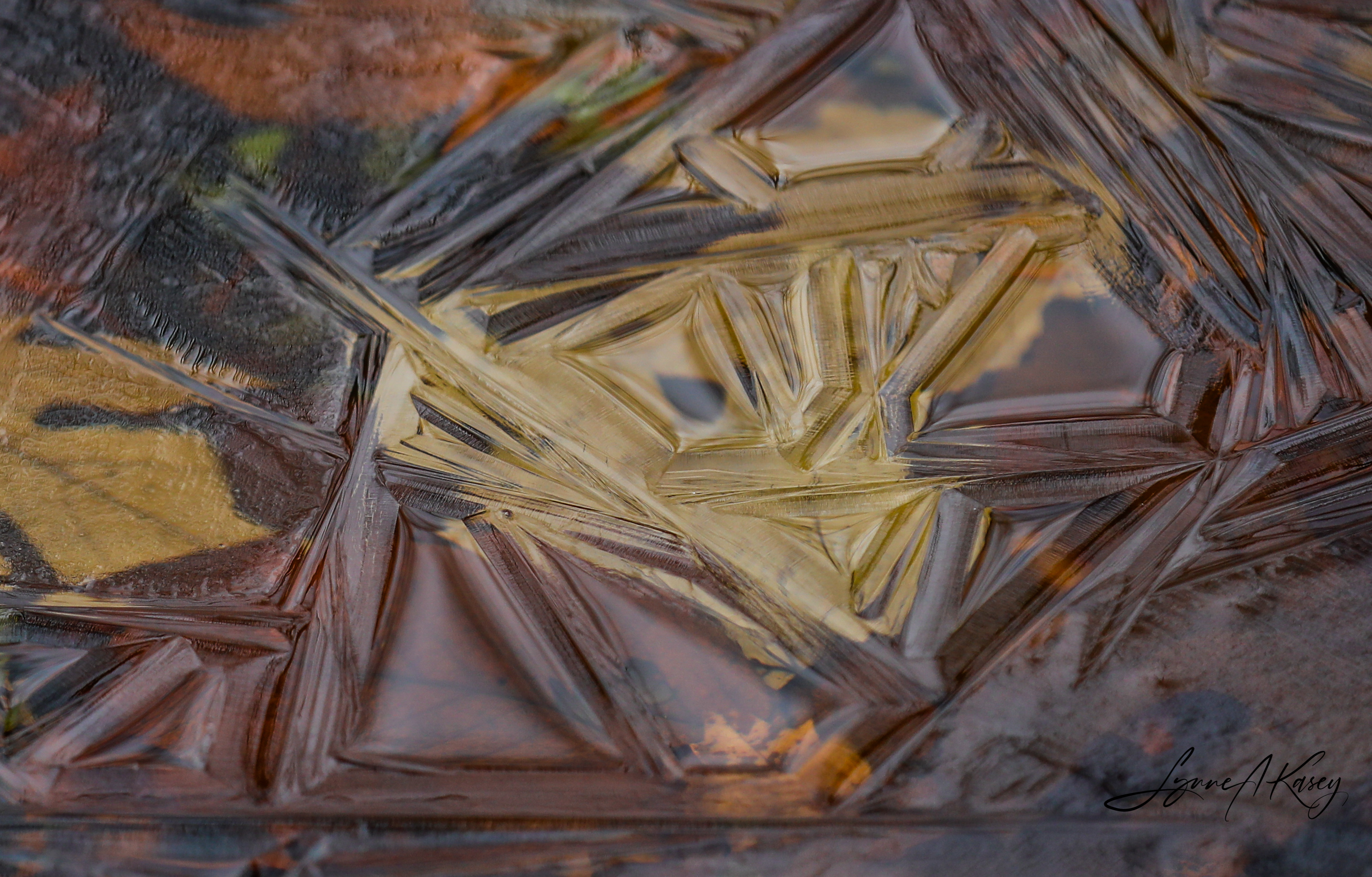 Frozen Patterns | Shutterbug